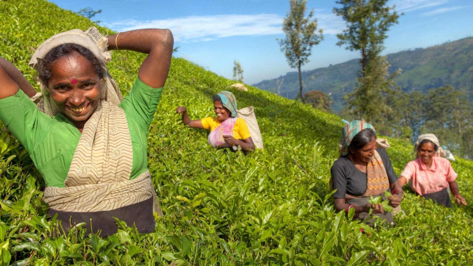 Social Sector Initiatives – Dr. Reddy’s Foundation